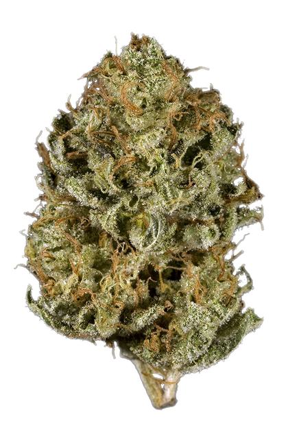 91 Chemdawg - Hybrid Cannabis Strain Review, CBD, THC, Terpenes : Hytiva 91 Chemdawg - Hybrid Cannabis Strain Review, CBD, THC, Terpenes : Hytiva