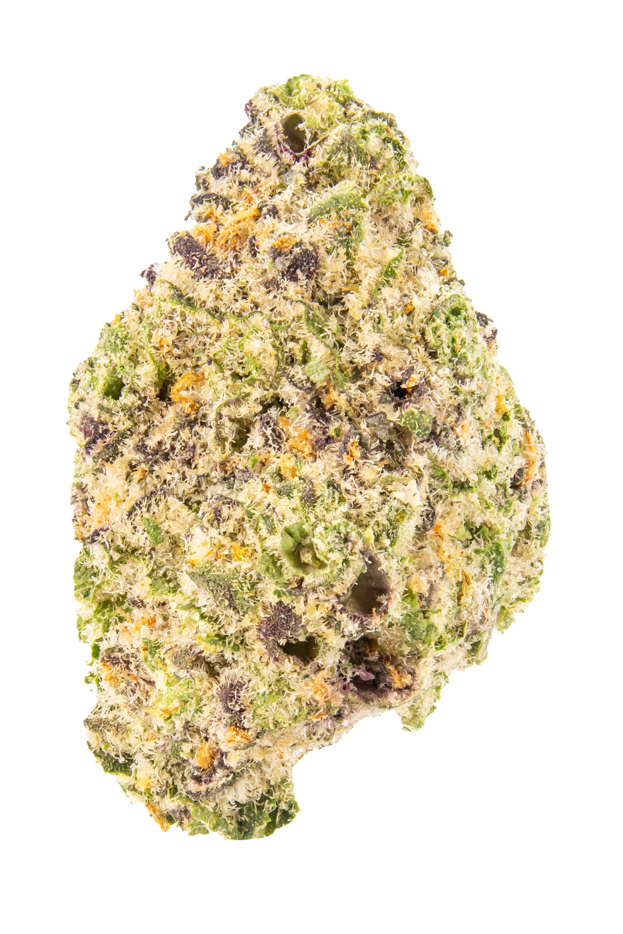 Gush Mints Strain - Hybrid Cannabis Review, THC, Terpenes : Hytiva