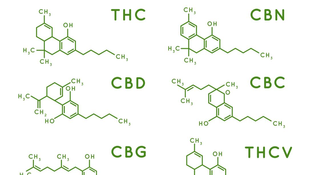 Differences Between CBN CBG And CBC Differences Between CBN CBG And CBC